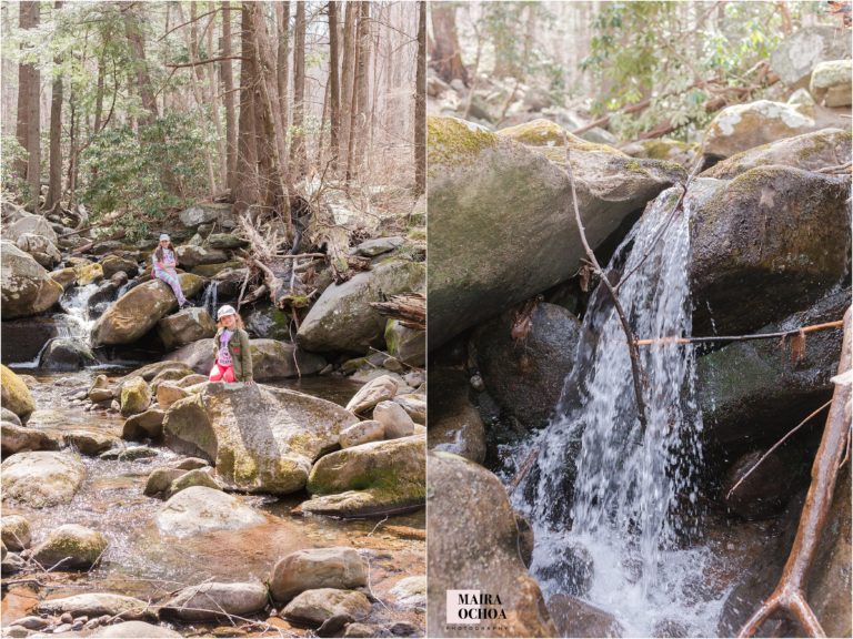 Spring Break in Beautiful Gatlinburg, TN | March 22, 2019 ...